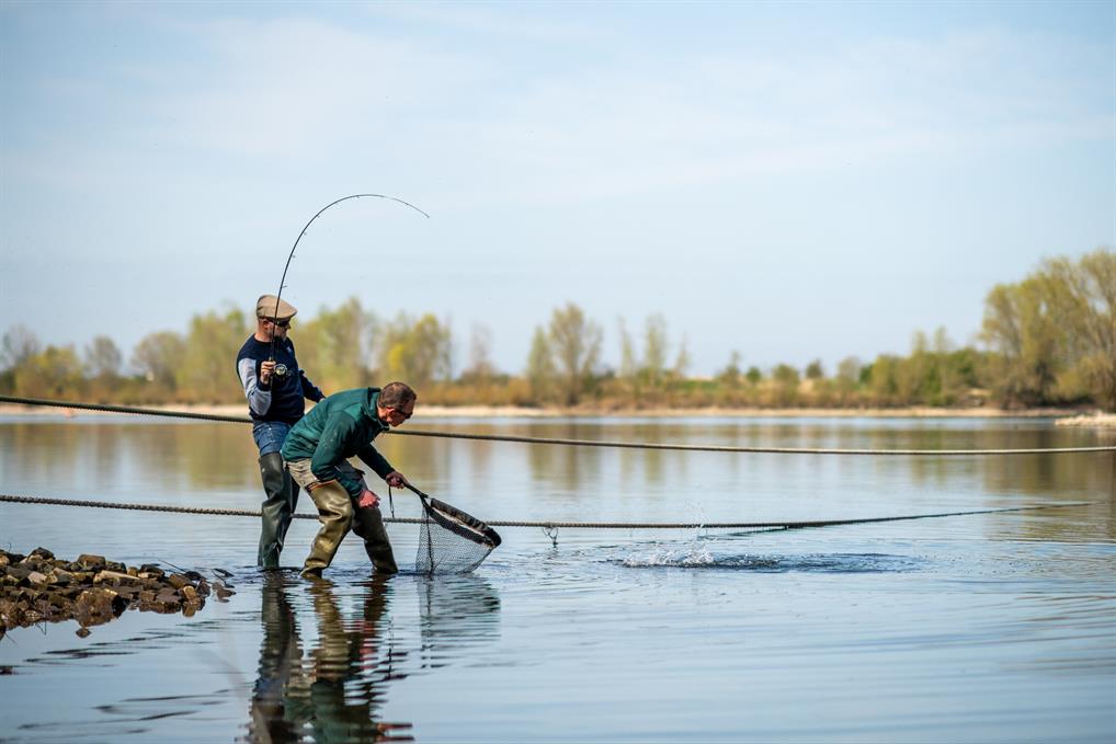 Fishing in Holland - Niederlande Anglerland