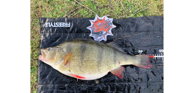 Fishing in Holland - Home