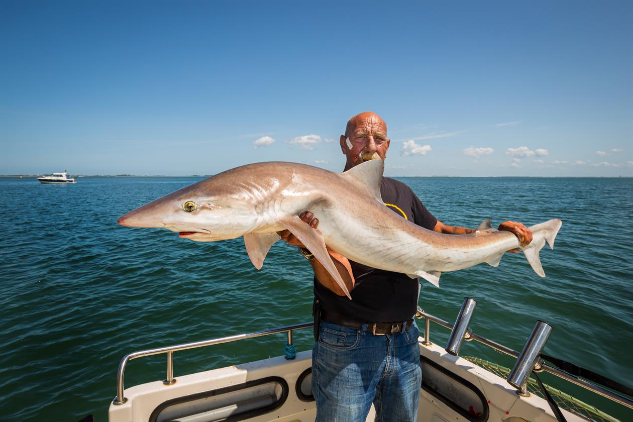 Fishing in Holland - Home