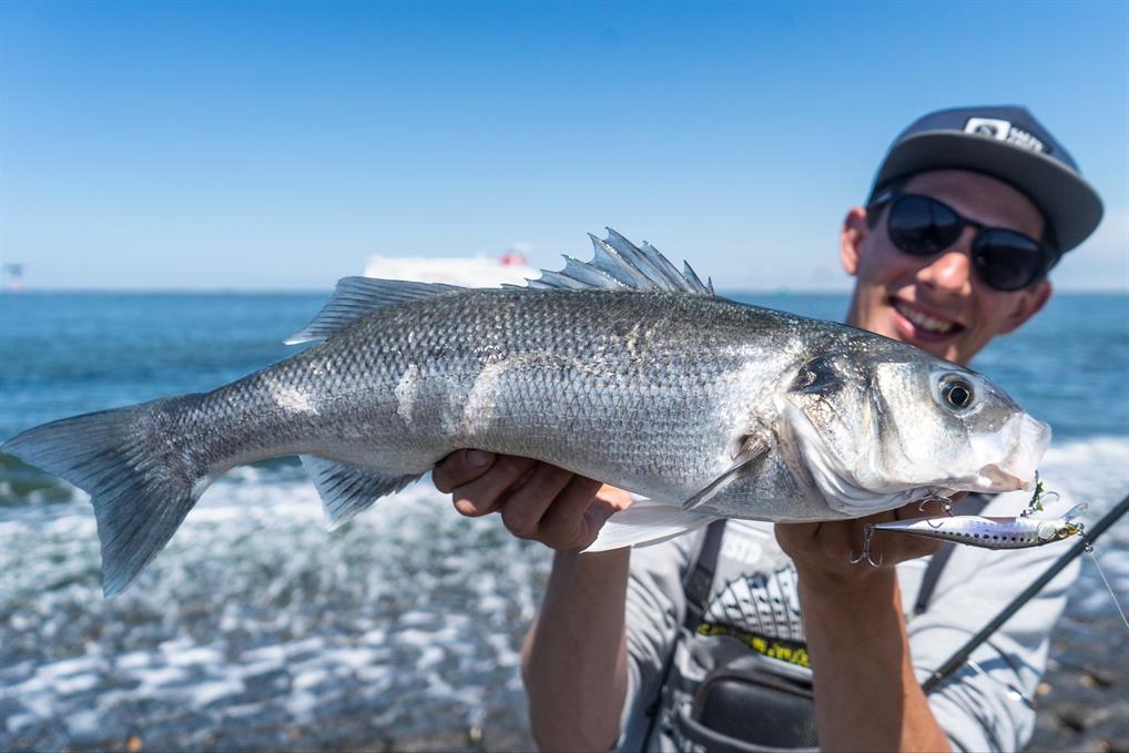 Fishing in Holland - Niederlande Anglerland